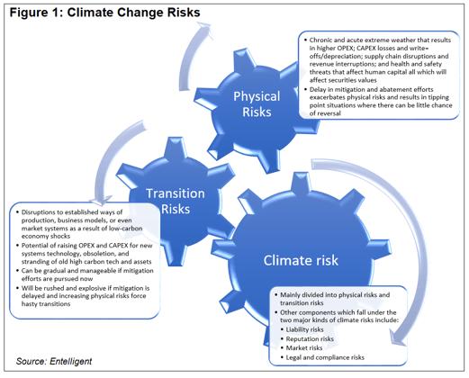The Reality of Transition Risks for Investors: Part I