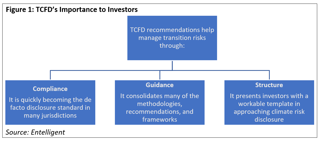TCFD and the Reality of Transition Risk for Investors: Part II