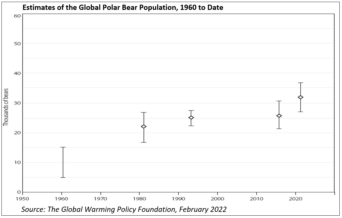 Polar Bears: Bullish or Bearish Outlook?