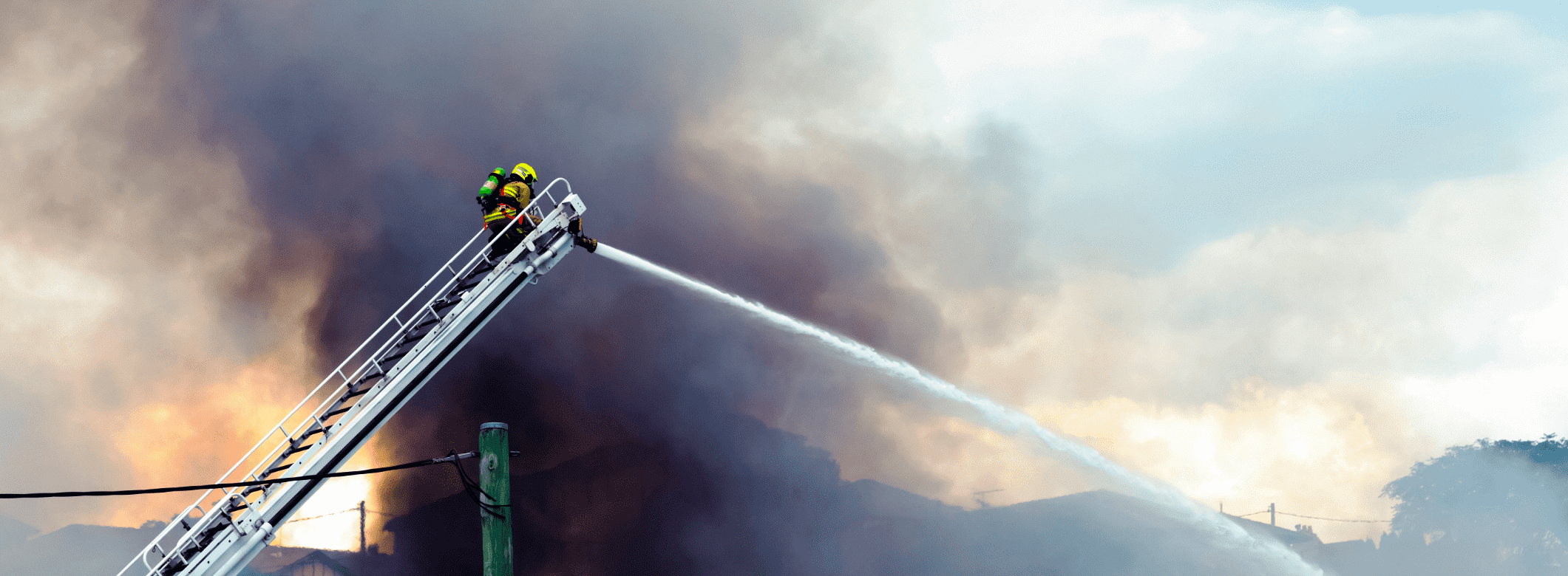 Electric Utility Regulation & Wildfire Mitigation