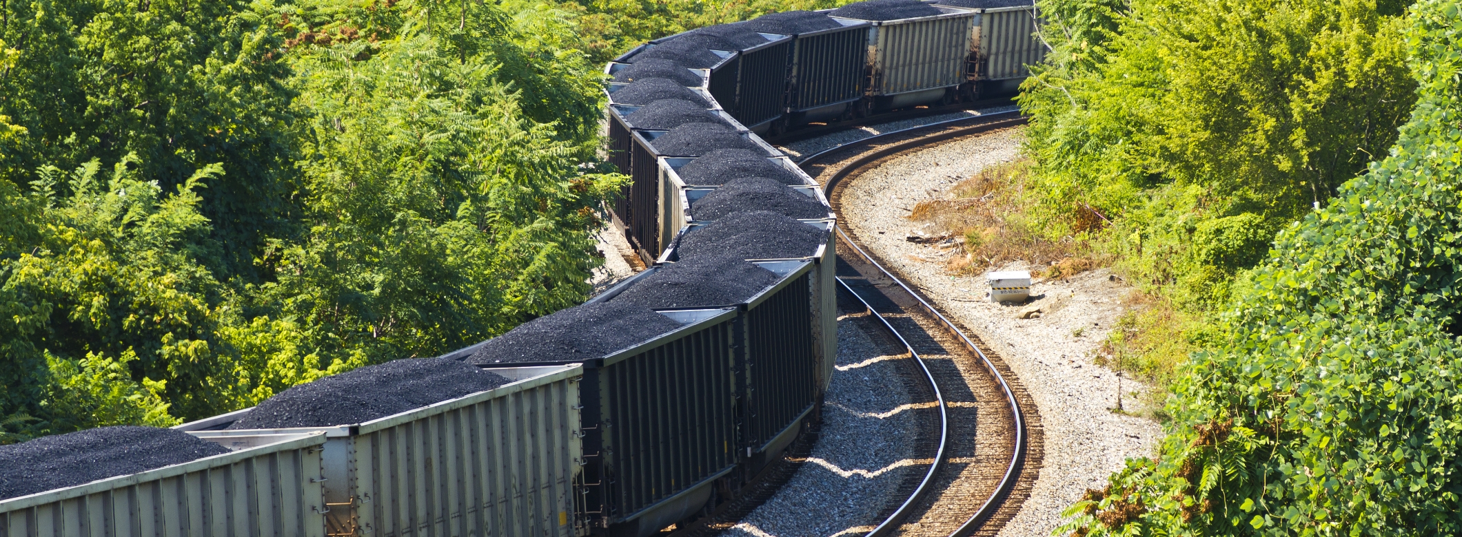 Renewables Force Out Coal Generation
