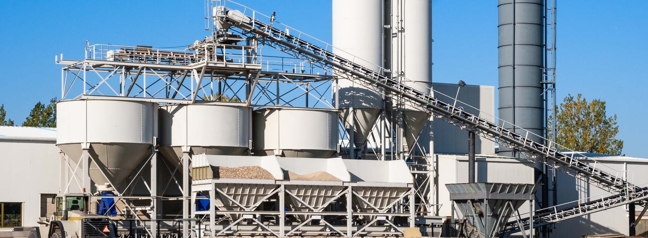 Surveying the Cement Decarbonization Landscape